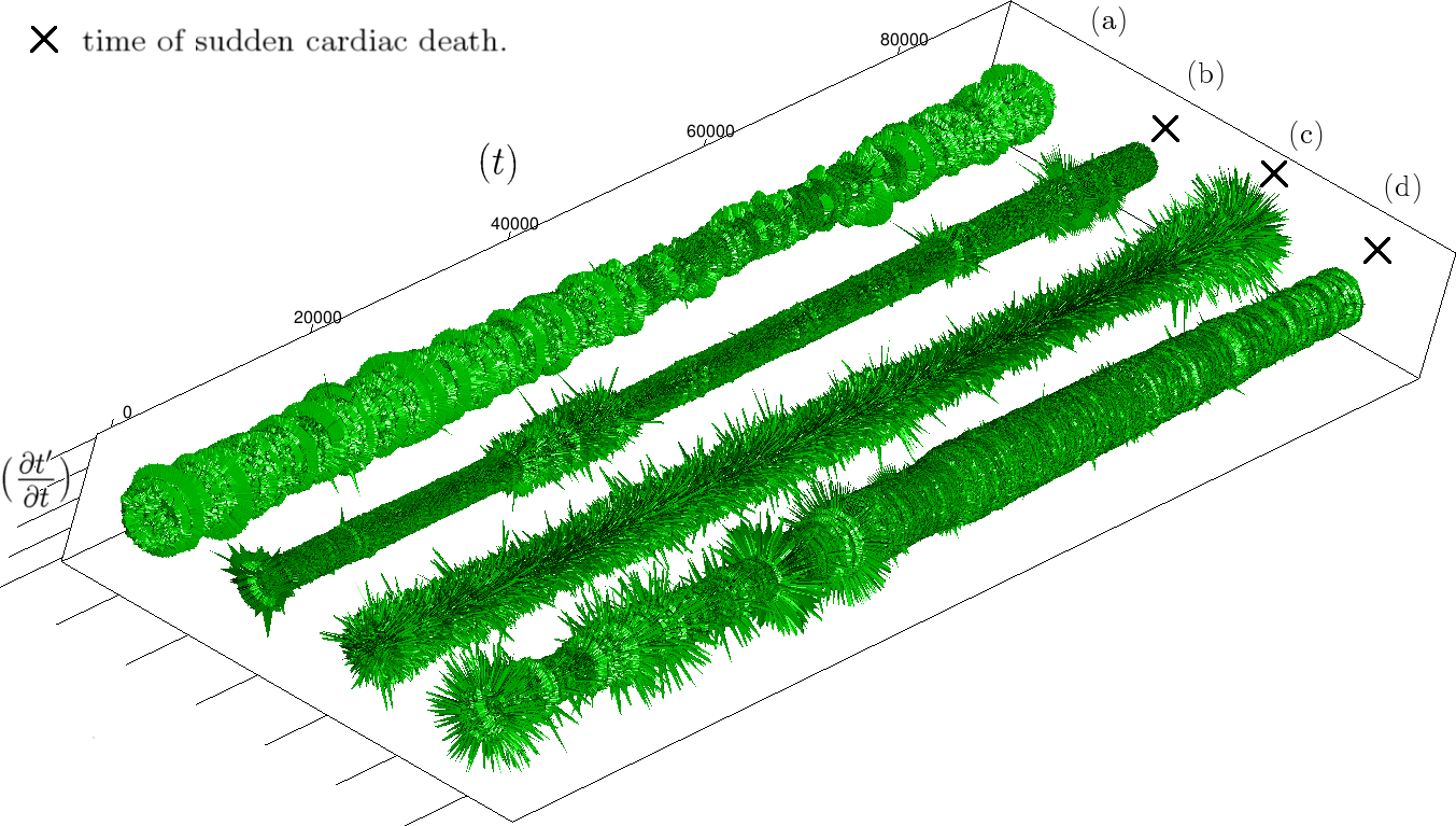 A 2-dimensional geometry for biological time - Maël Montévil